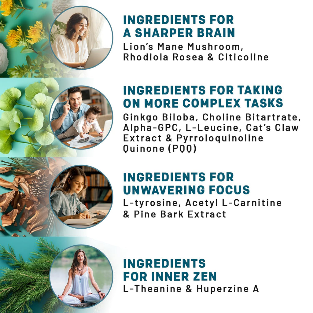 1300 mg lion's mane for cognitive support