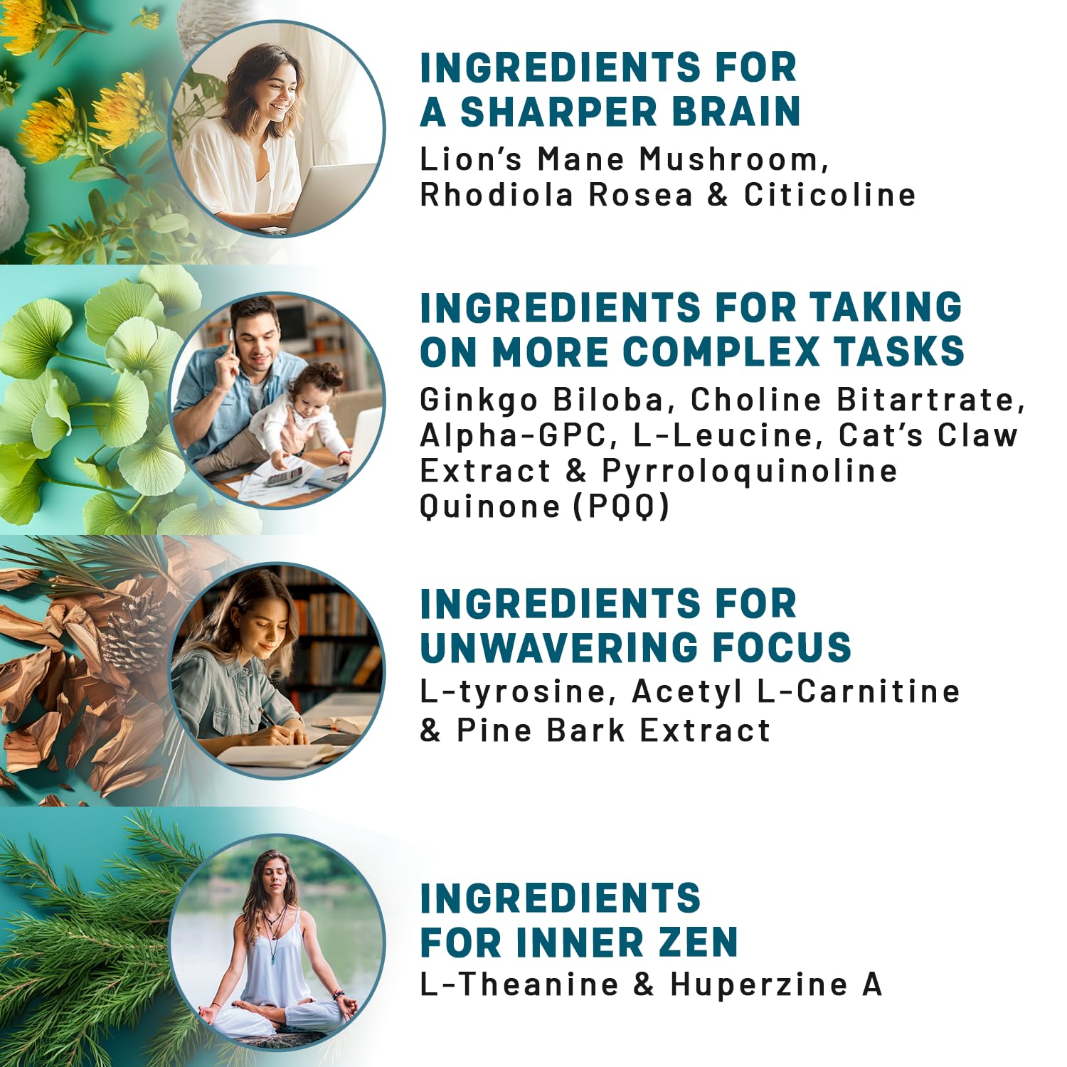 1300 mg lion's mane for cognitive support