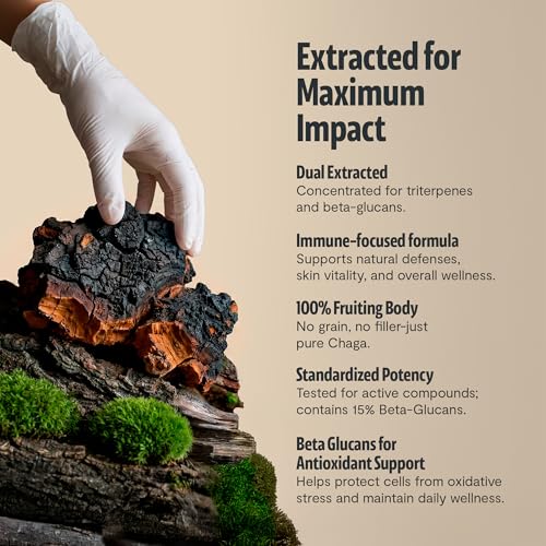 14:1 chaga extract for vitality