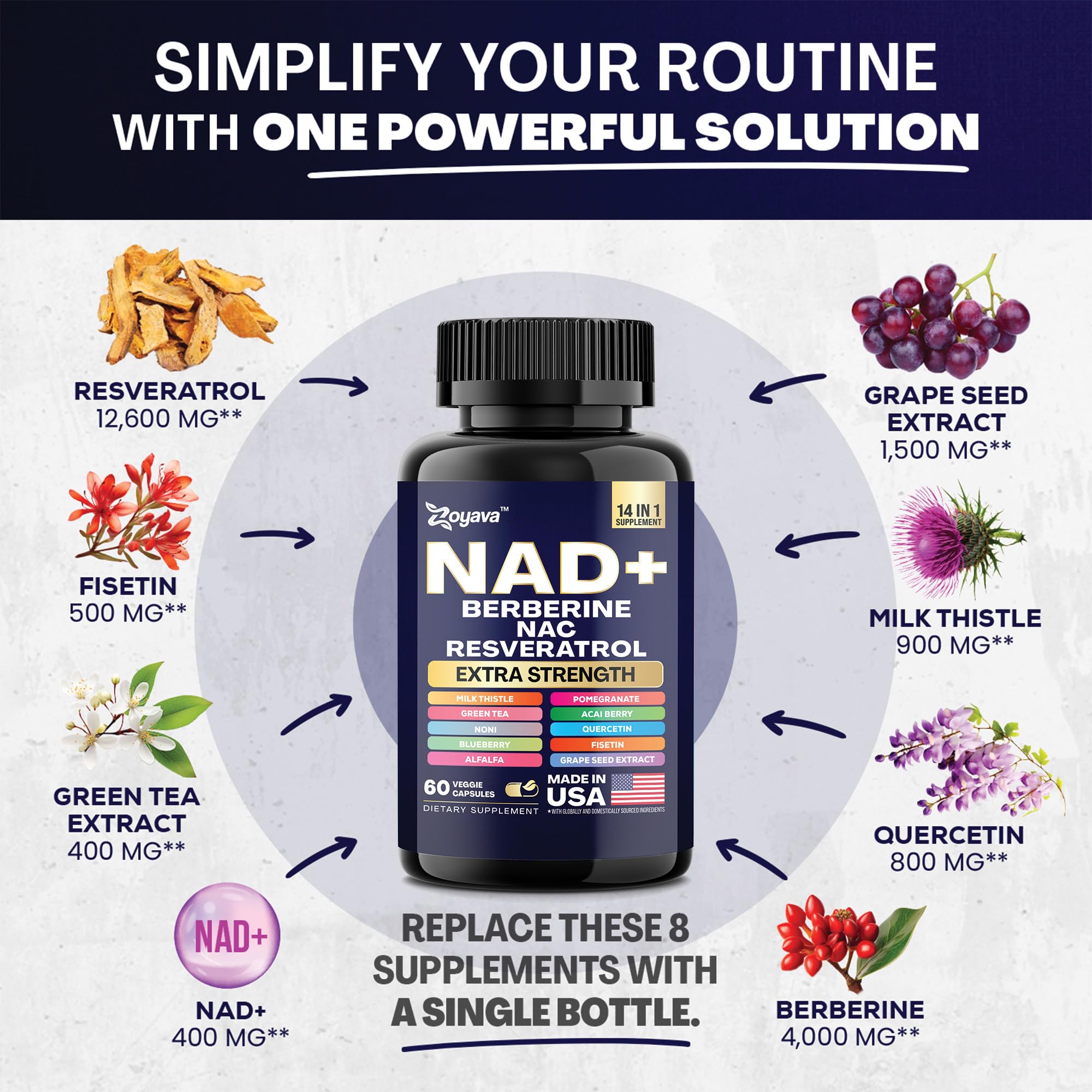 14-in-1 blended vitamin and mineral formula