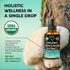 144000 mg lion's mane for cognitive support
