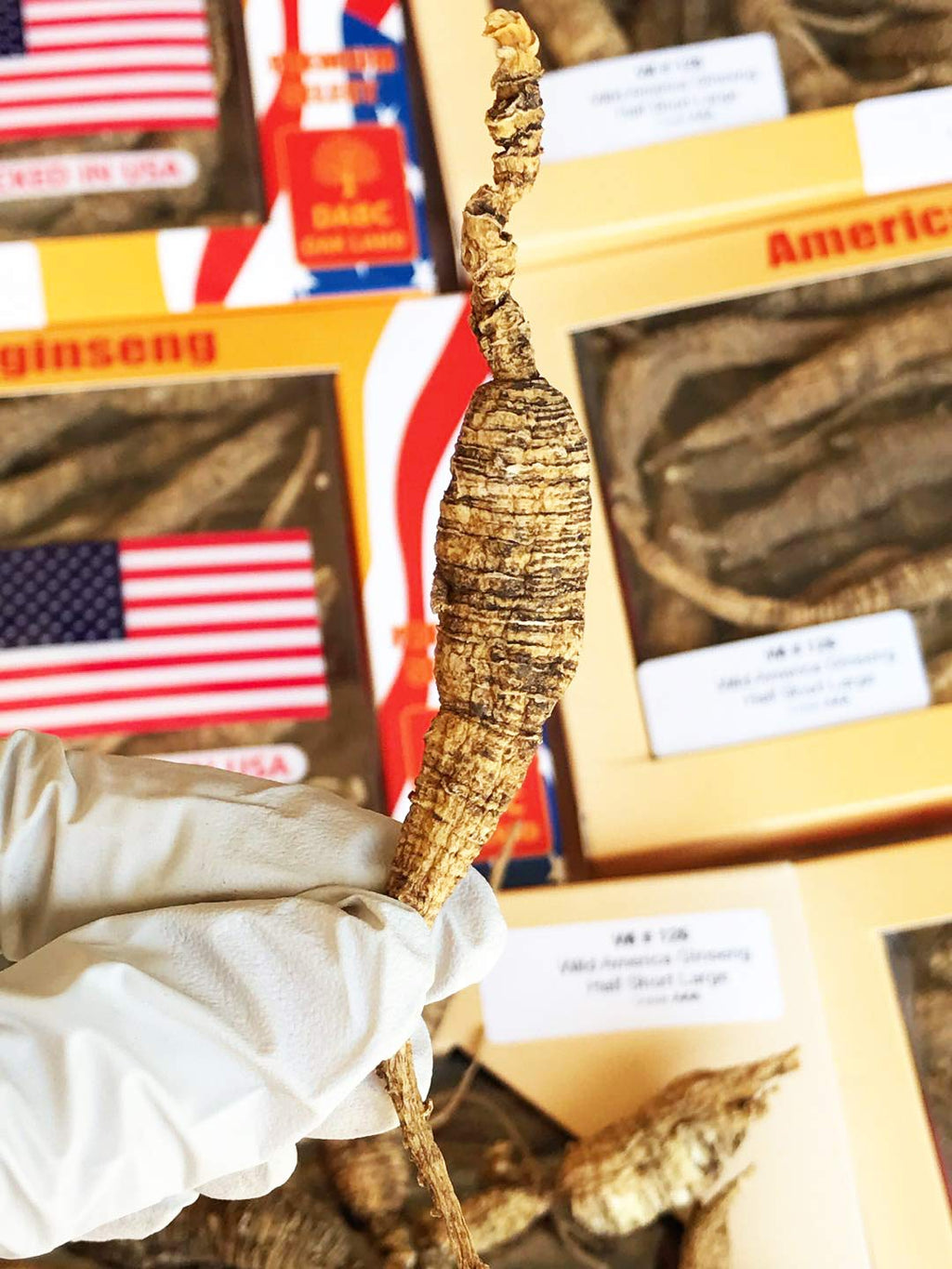 15-20 year old ginseng quality