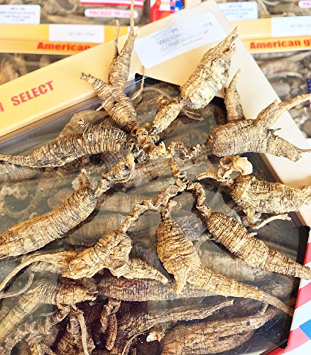 15-20 year old ginseng