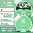 15 count spearmint energy pouches