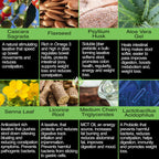 15 day gut cleanse supplement