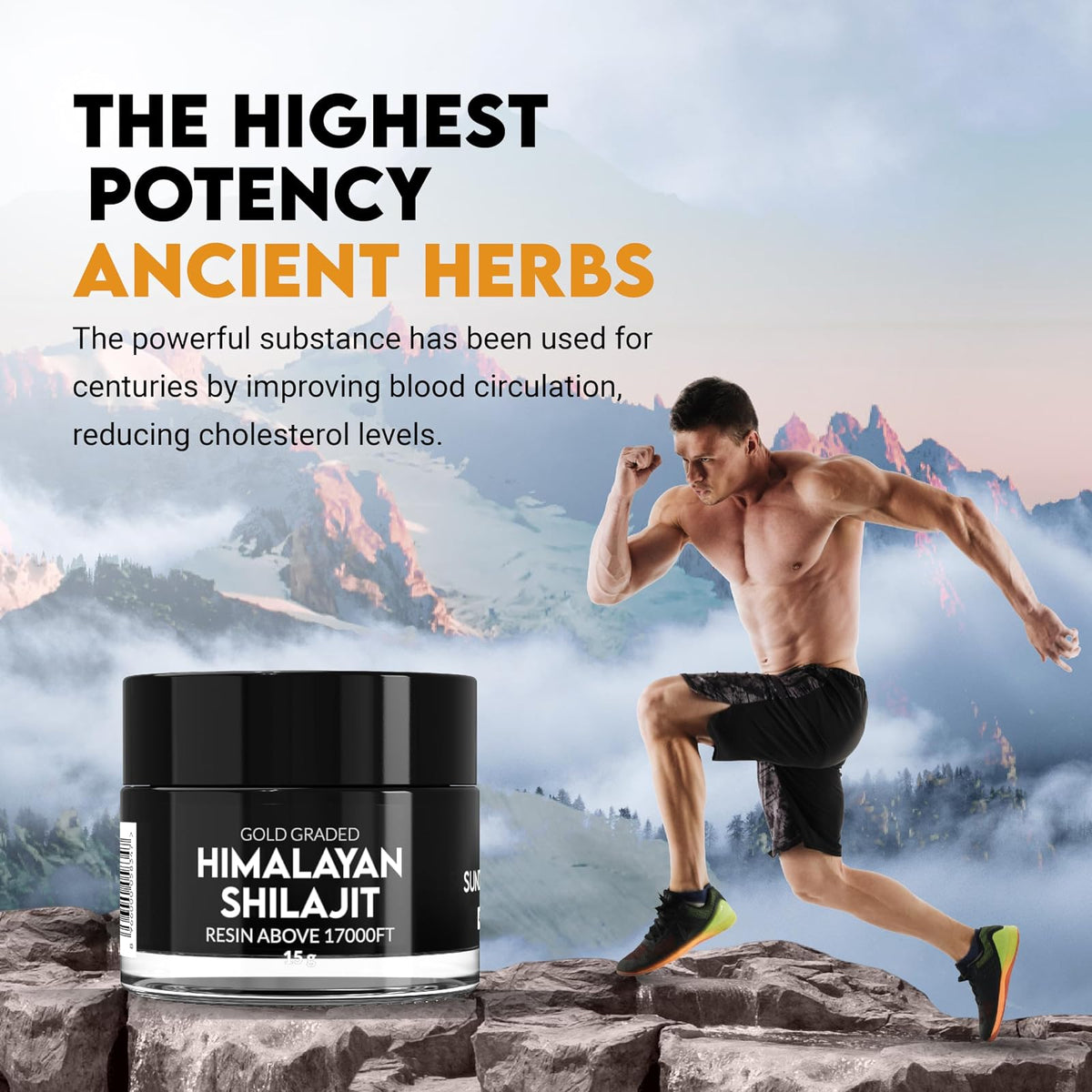 15 g shilajit resin for vitality