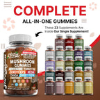 15-in-1 mushroom complex supplement benefits