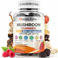 15 in 1 mushroom gummies benefits