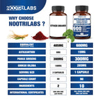 15 mg ginkgo biloba dosage