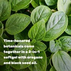 150 count oregano oil capsules