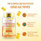 150 count turmeric ginger gummies