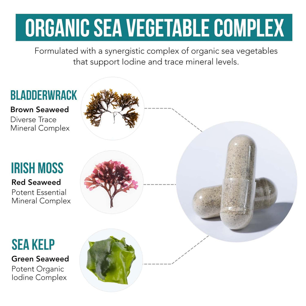 1500 mcg iodine for immune system boost
