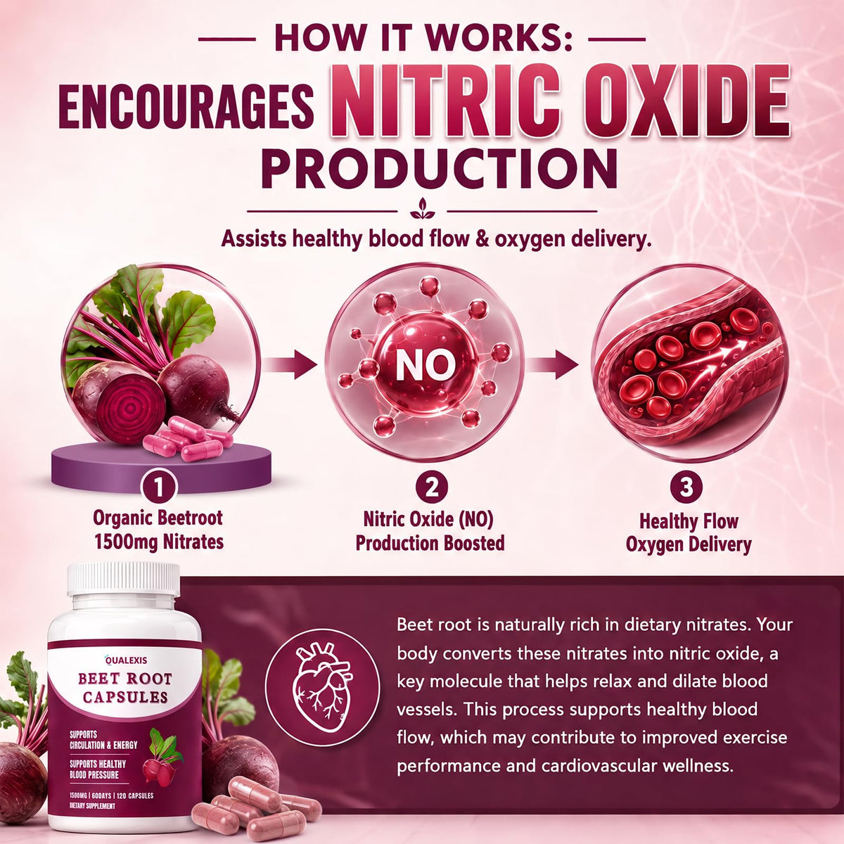 1500 mg beet root nutrition
