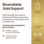 1500 mg glucosamine for mobility