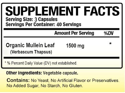 1500 mg Mullein for respiratory support