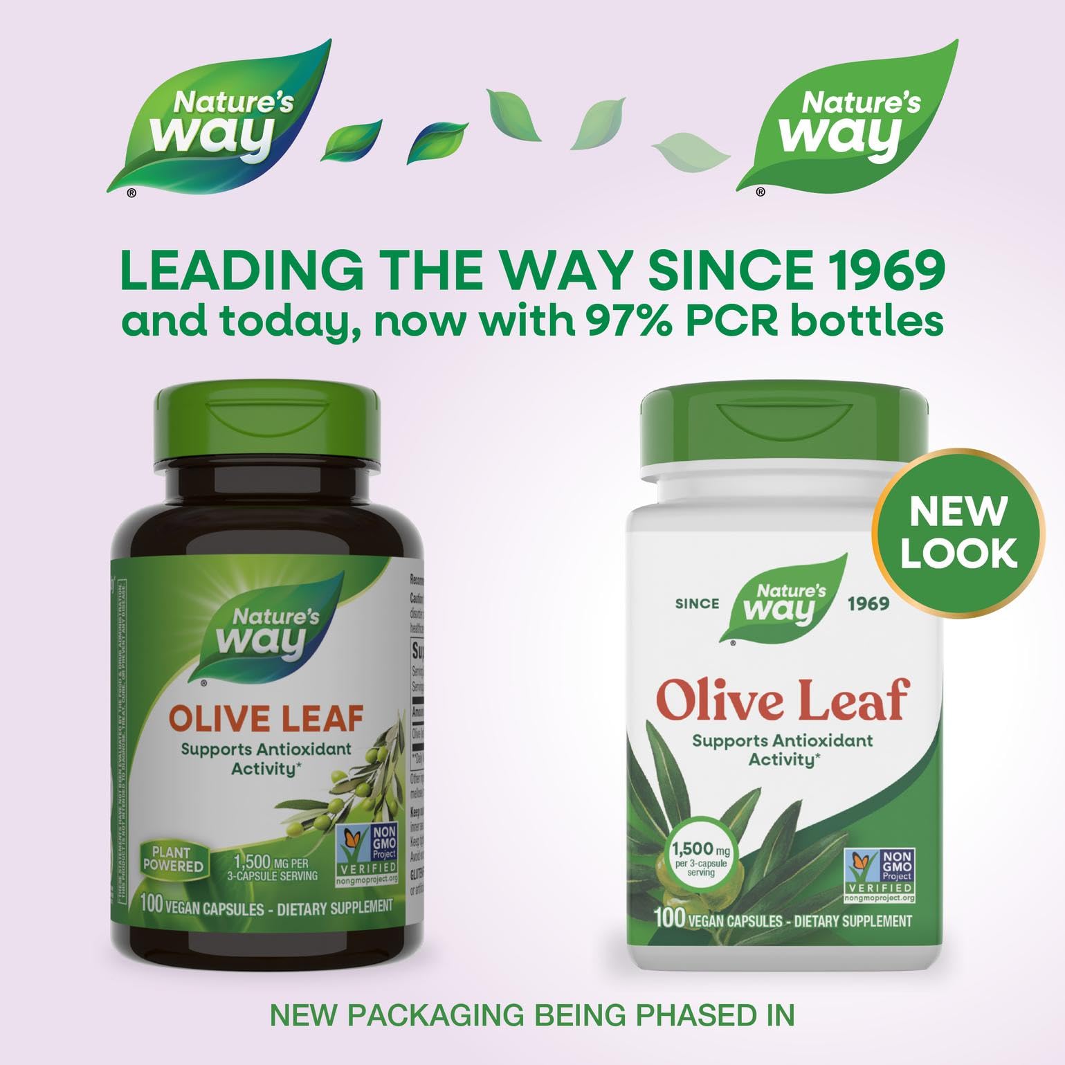1500 mg olive leaf capsules