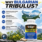 1500 mg Tribulus for muscle support