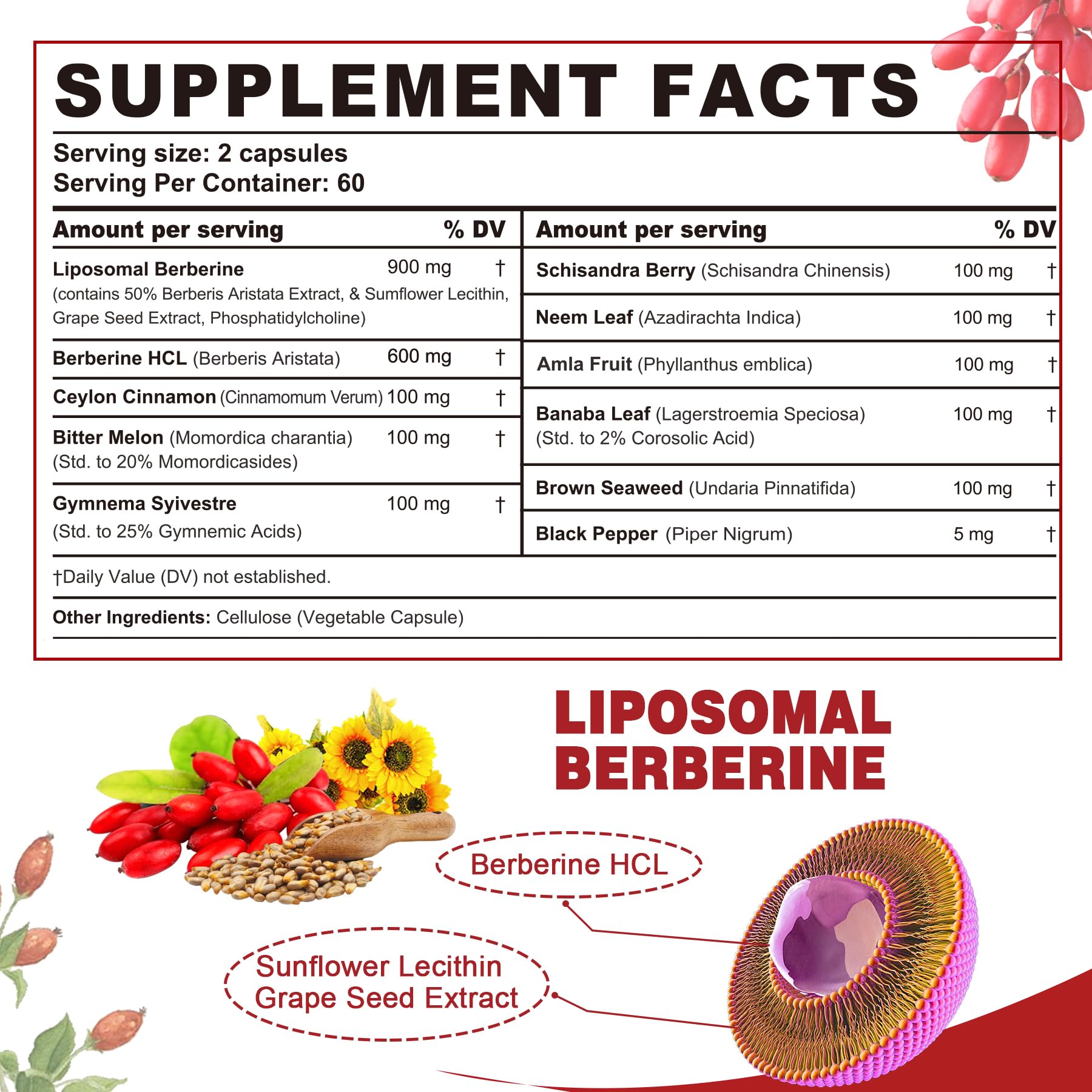 1500mg berberine for digestive health
