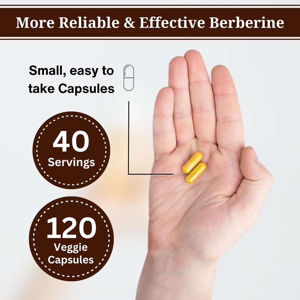 1500mg berberine for metabolic support