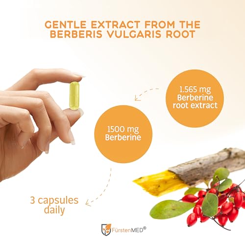 1500mg berberine for optimal results