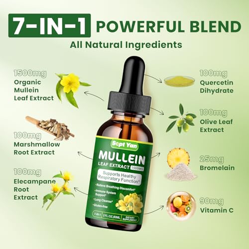 1500mg mullein for detox benefits