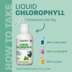 16 fl oz chlorophyll for vitality
