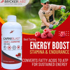16 fl oz L-Carnitine energy booster