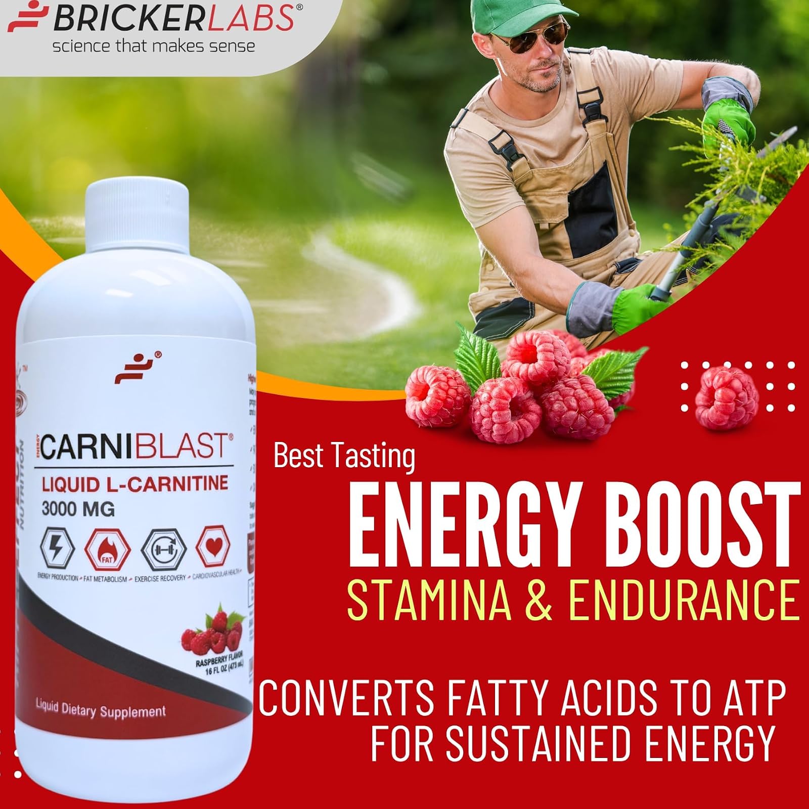 16 fl oz L-Carnitine energy booster