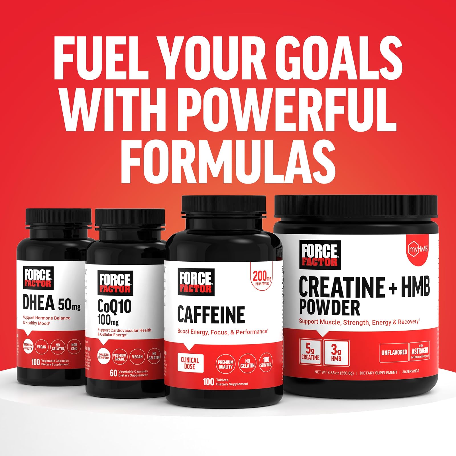 16 fl oz L-Carnitine formula