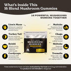 16 in 1 lion's mane gummy benefits