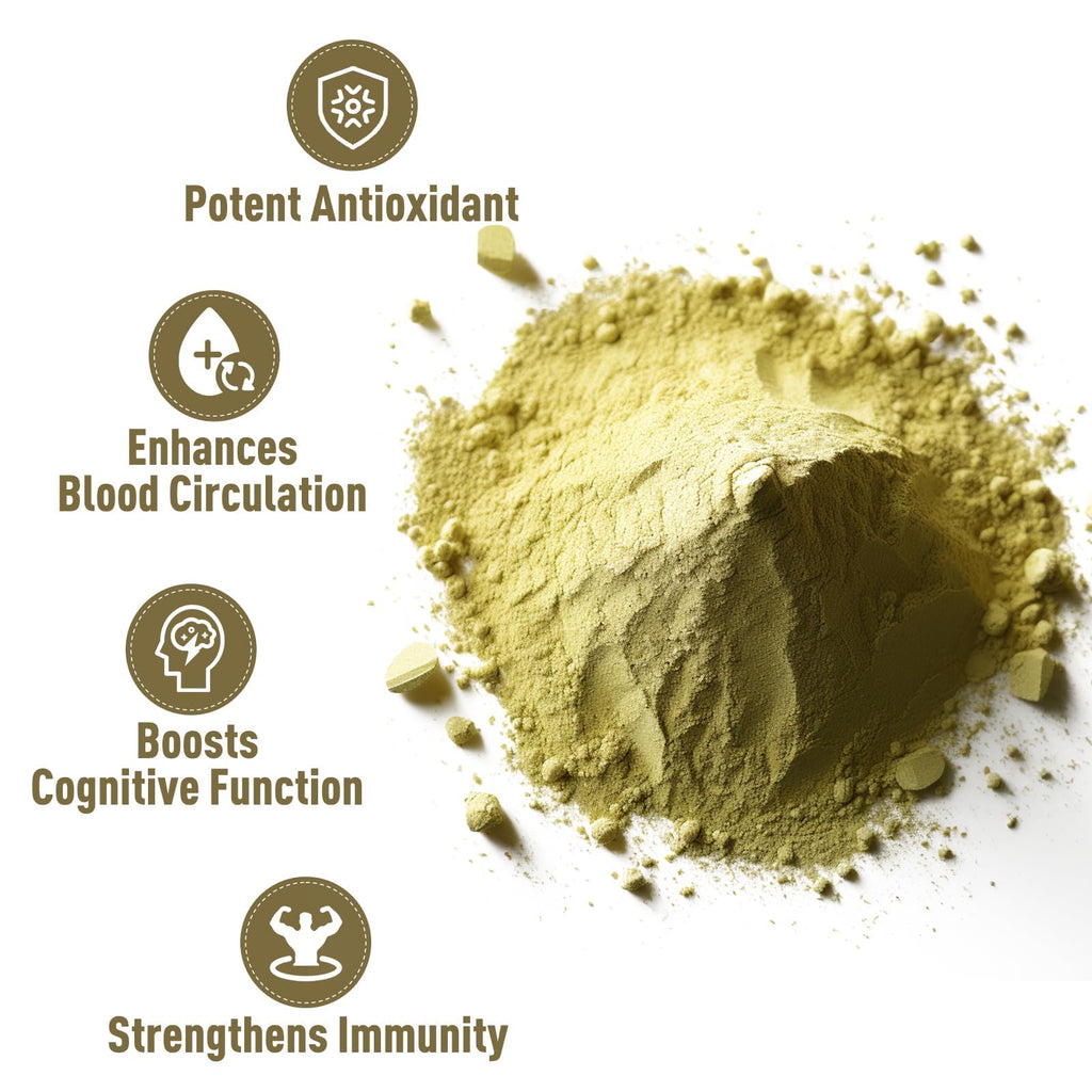 16 oz Ginkgo Biloba herbal powder