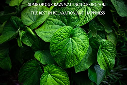 16 oz kava kava package