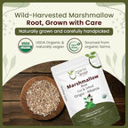 16 oz marshmallow root tea benefits