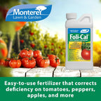16 oz Monterey calcium for plant health