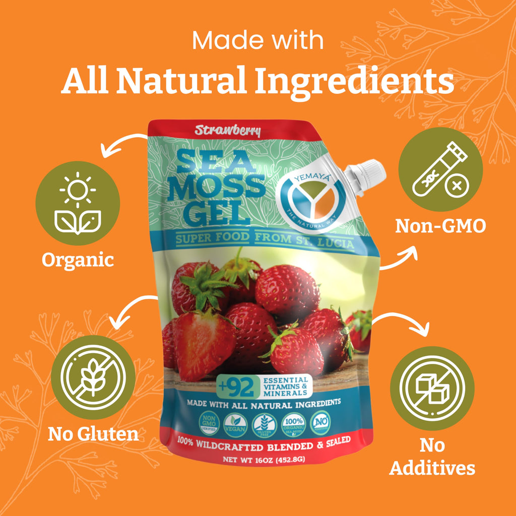 16 oz sea moss gel container