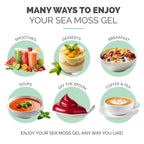 16 oz sea moss gel jar