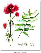 16 oz valerian root powder
