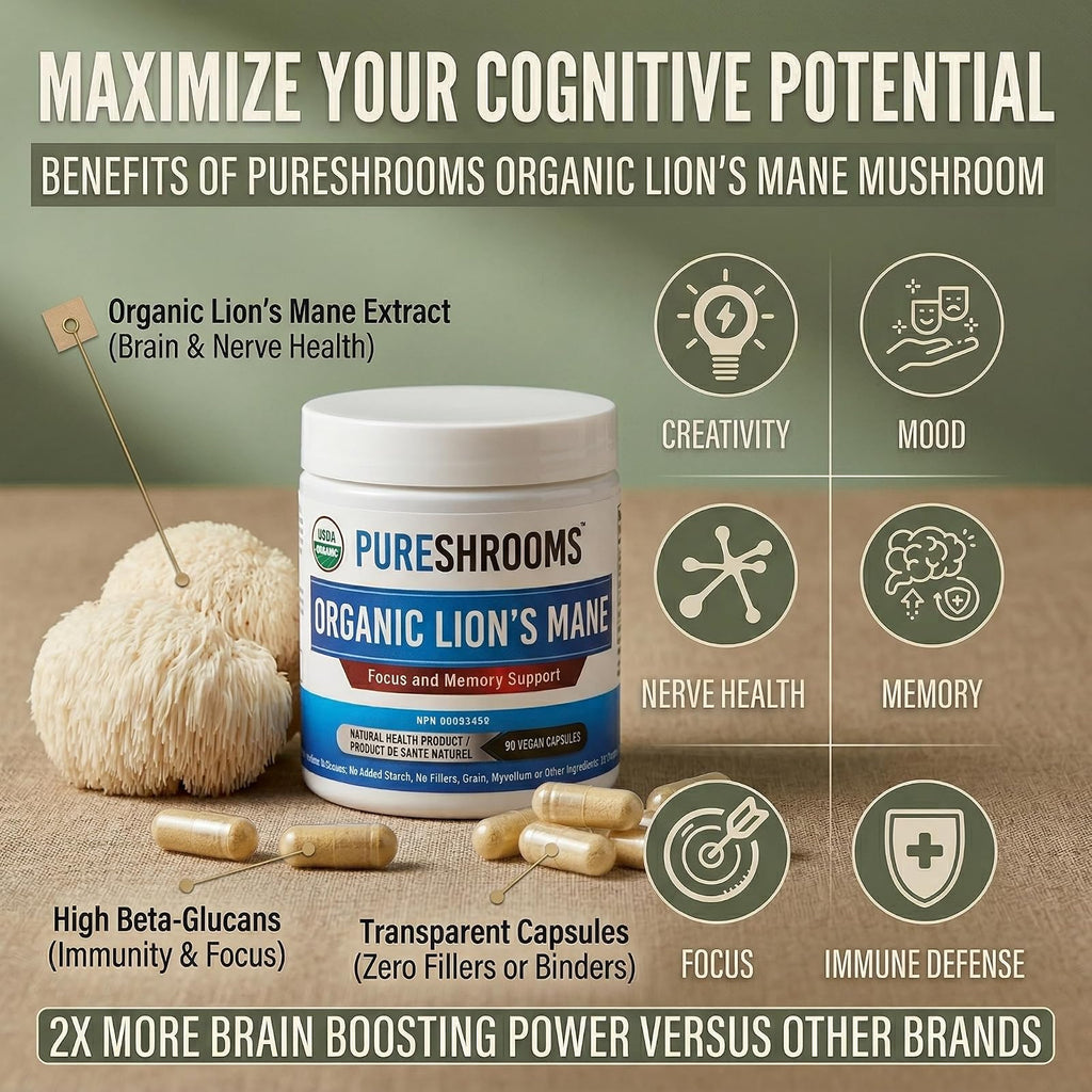 1600 mg Lion's Mane supplement