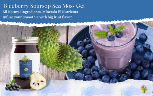 16oz organic sea moss gel