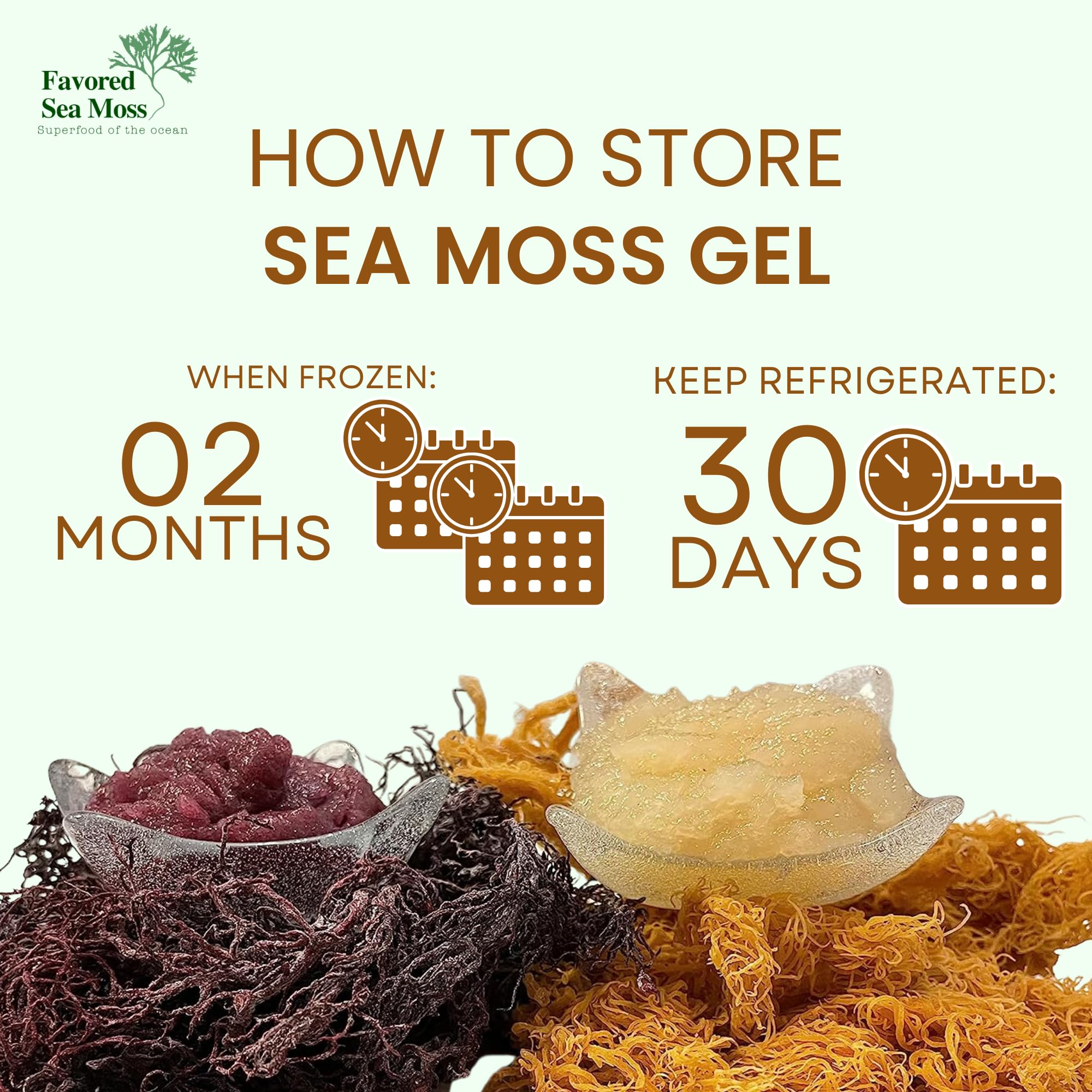 16oz sea moss gel in glass jar