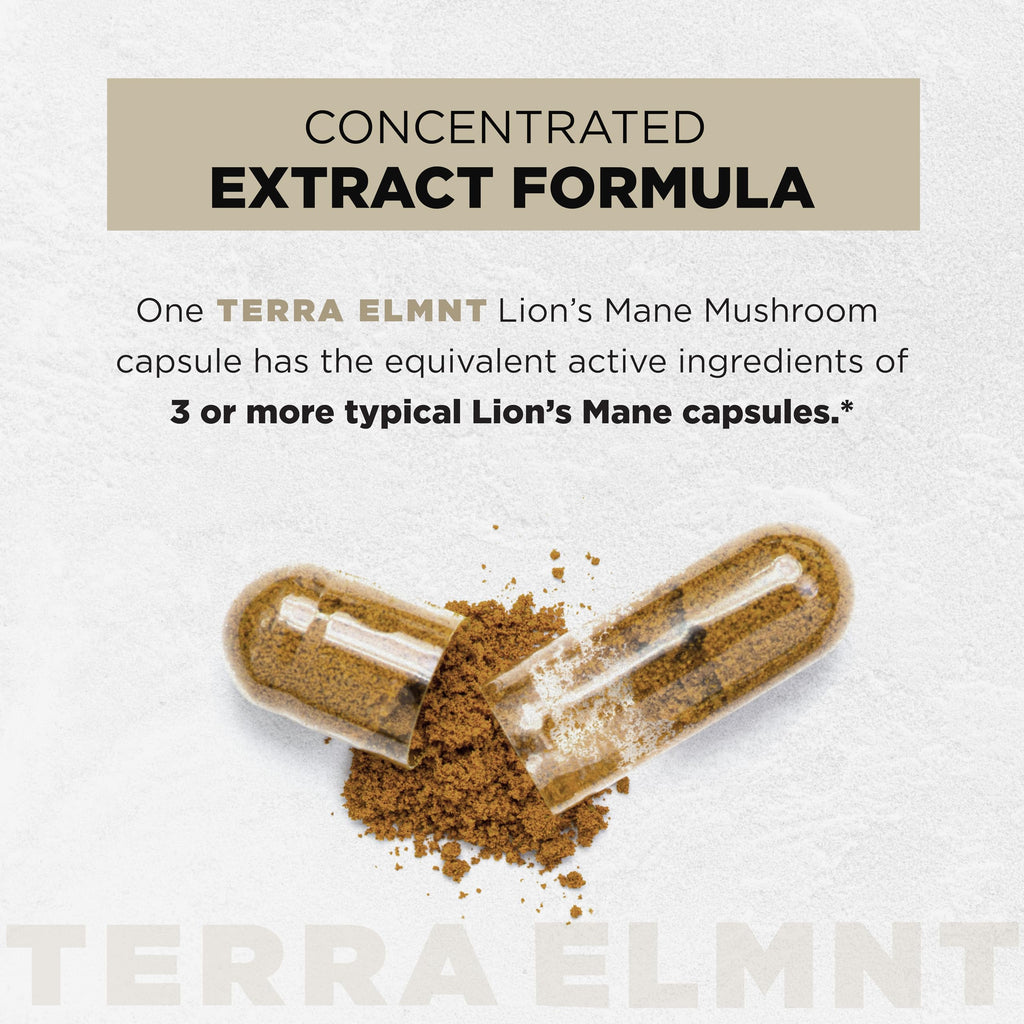 16x strength mushroom extract capsules