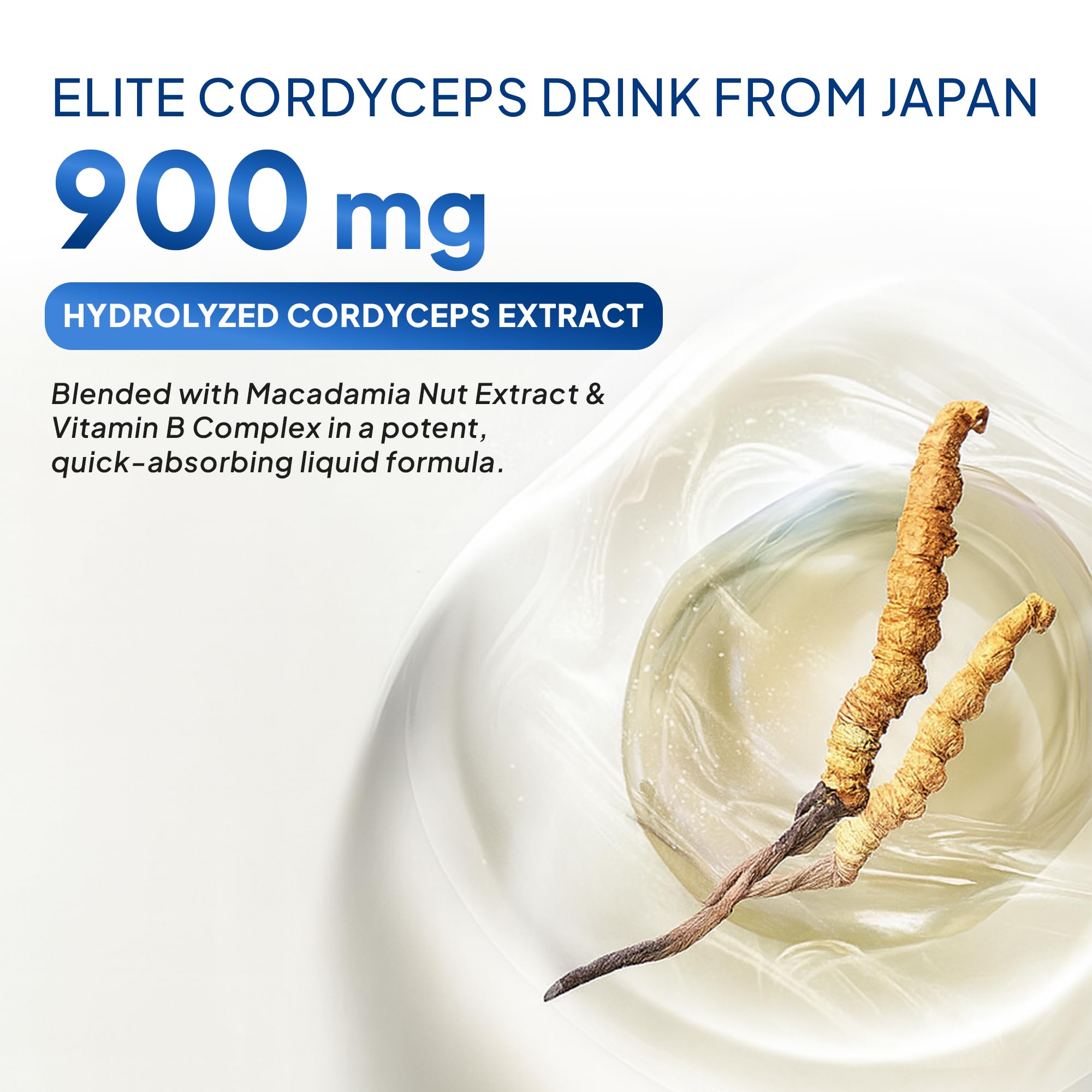 17 fl oz cordyceps energy shot