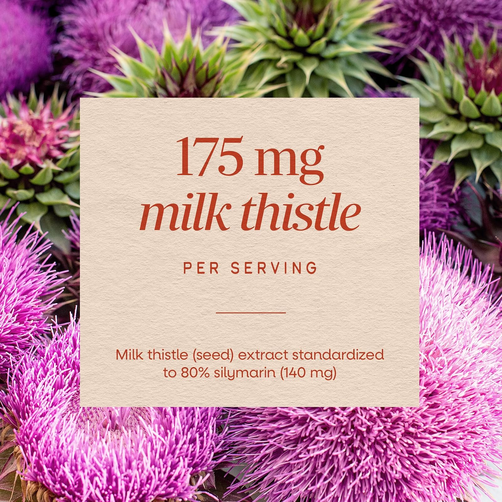 175 mg milk thistle extract benefits
