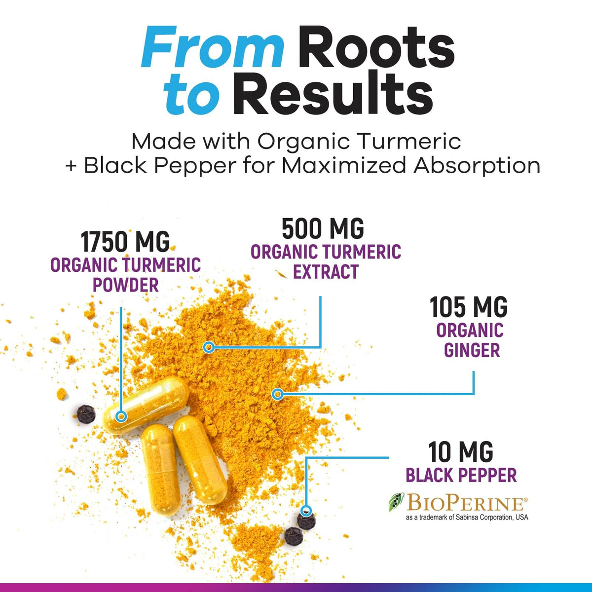 1750 mg turmeric curcumin for wellness