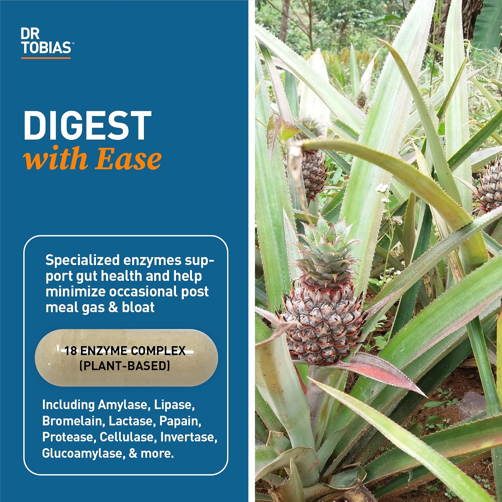 18-enzyme blend for better digestion