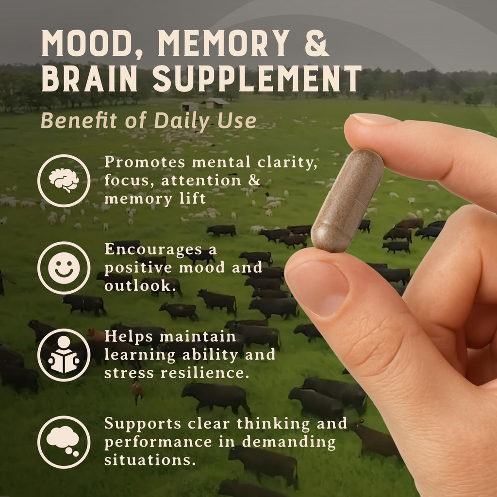 180 capsules for daily cognitive health