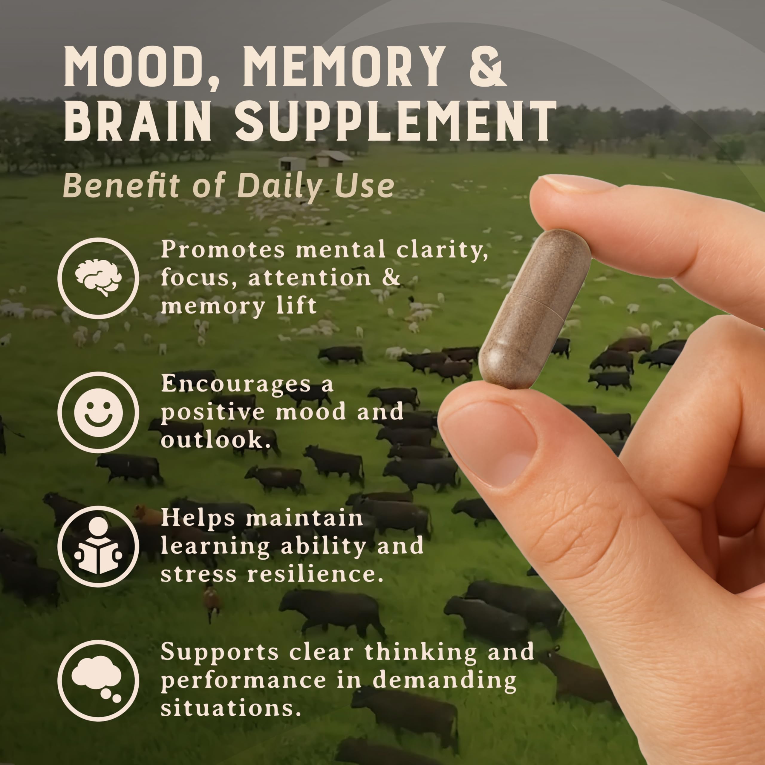 180 capsules for daily cognitive health