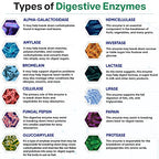 180 capsules of digestive enzymes