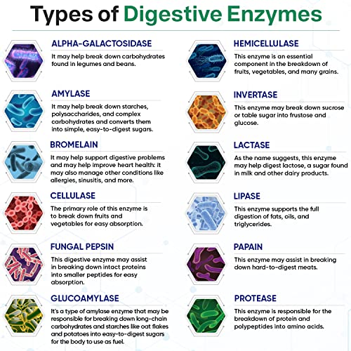 180 capsules of digestive enzymes