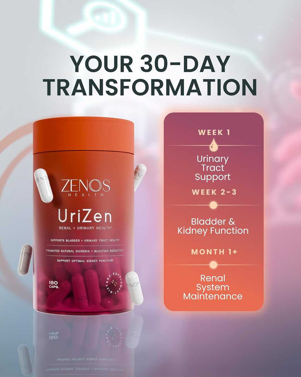180 capsules of kidney support formula